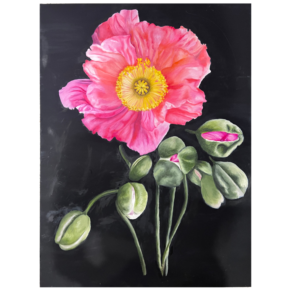 Bloom – Ali Jacobs